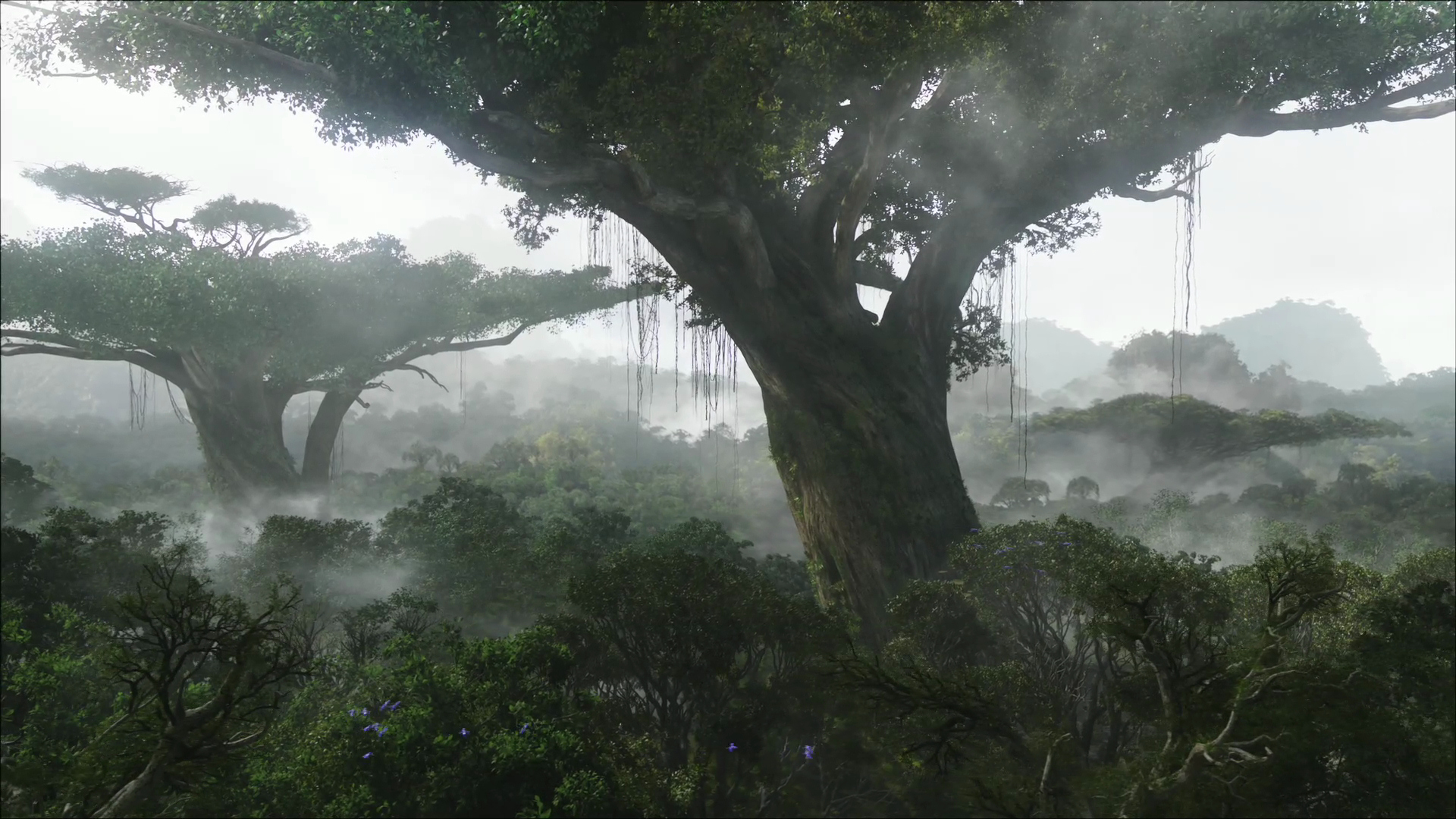 Pandora - James Cameron's Avatar Wiki - Jouw bron voor de Avatar film ... Pandora - James Cameron's Avatar Wiki - Jouw bron voor de Avatar film ...