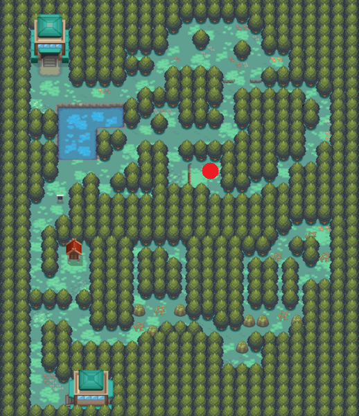Ilex Forest The Pokémon Wiki