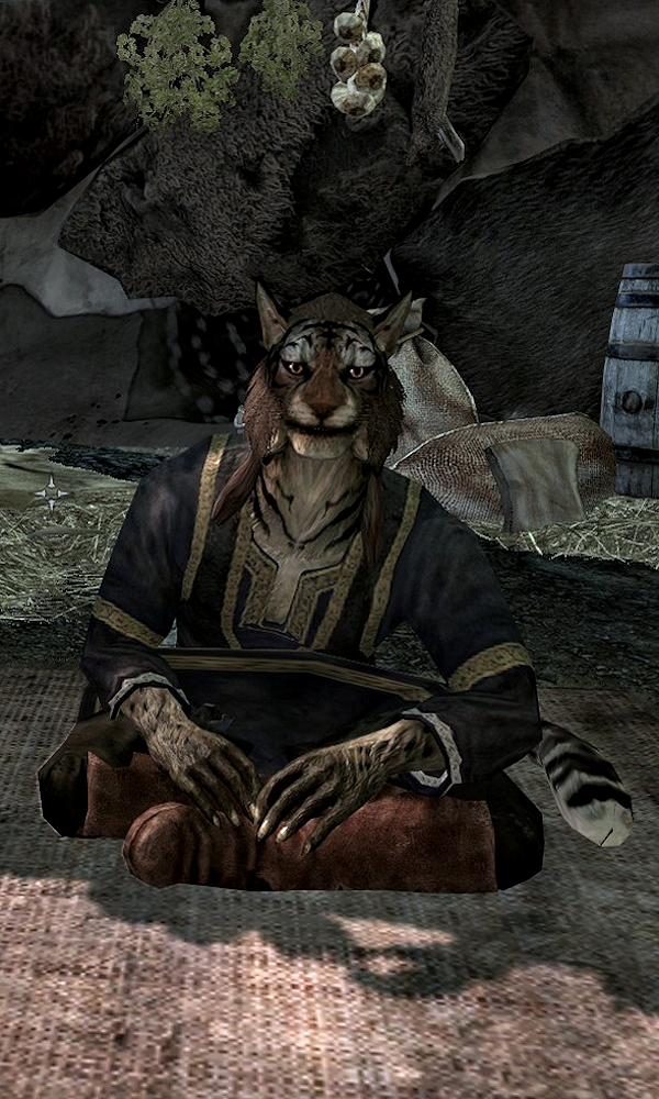 Khajiit Caravans - The Elder Scrolls Wiki Khajiit Caravans - The Elder Scrolls Wiki