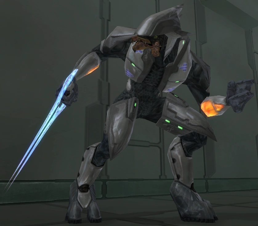 Halo Universe