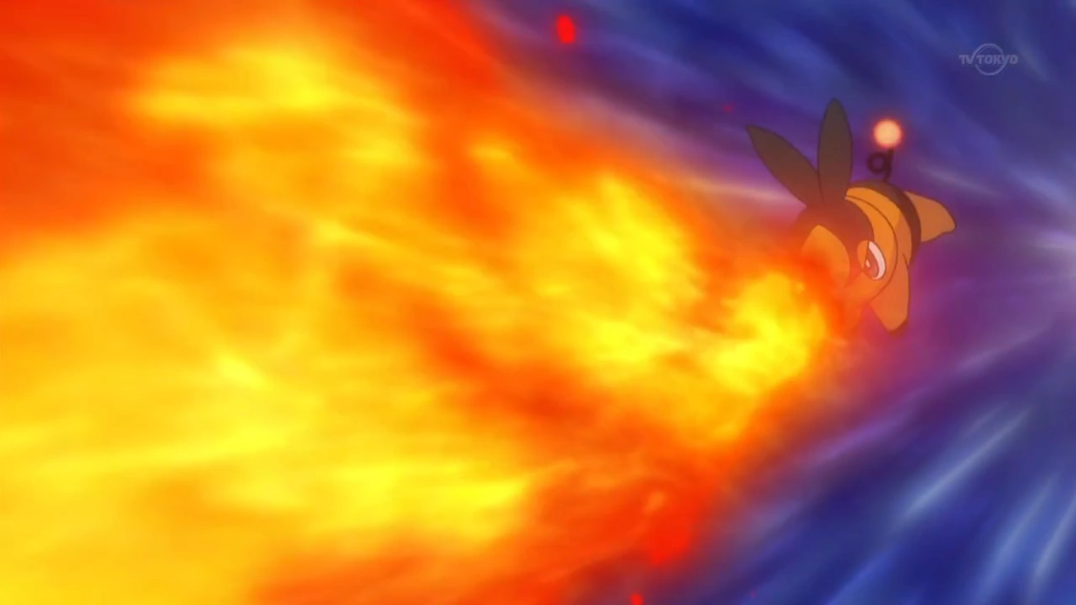 [Fluff] Torchic Request : pokemon