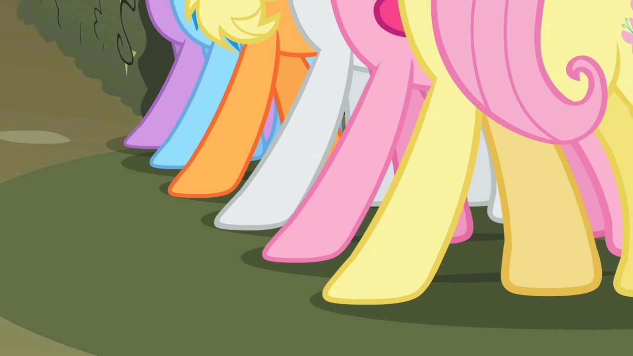 Hooves of the Main/Mane 6 | Mlp my little pony, My little pony ...