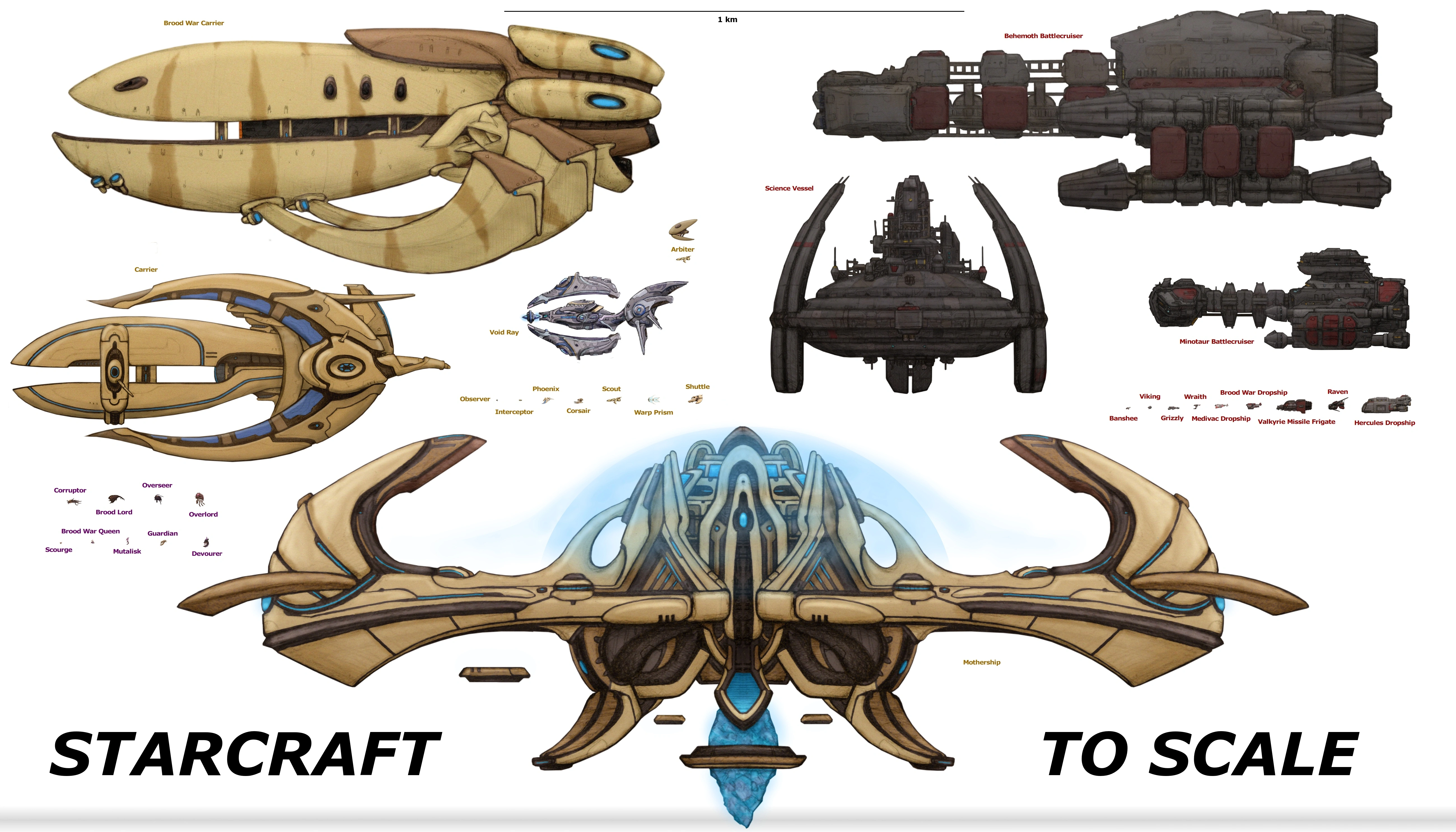 Image - Large Ships Scale.png - StarCraft: Scattered Factions Wiki