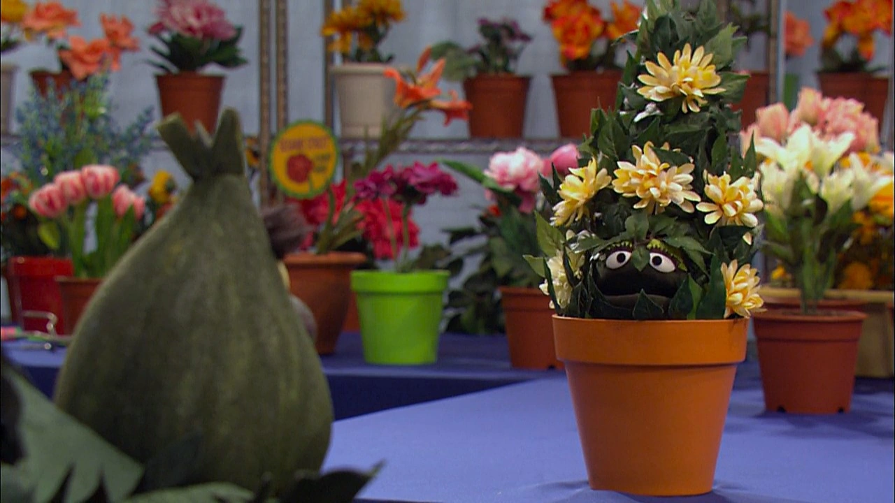 Episode 4403 - Muppet Wiki