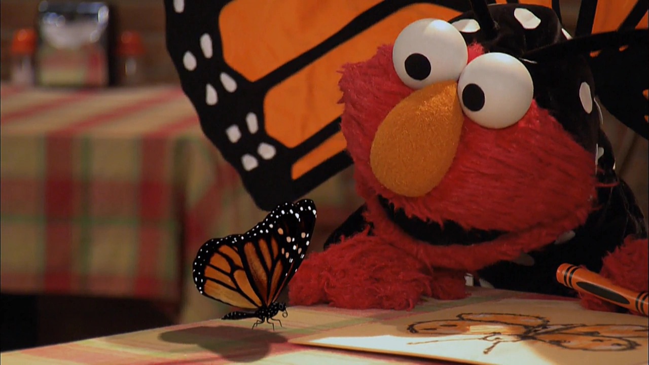 Episode 4268 - Muppet Wiki